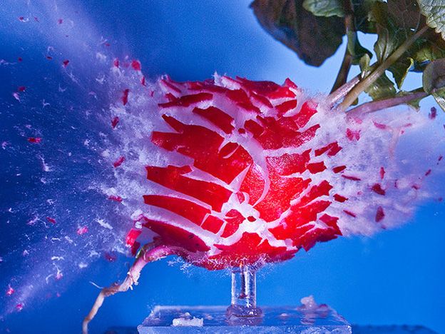 Explota explota expló