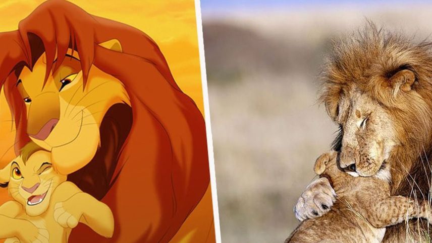 La imagen que conmueve al mundo: Mufasa y Simba son reales