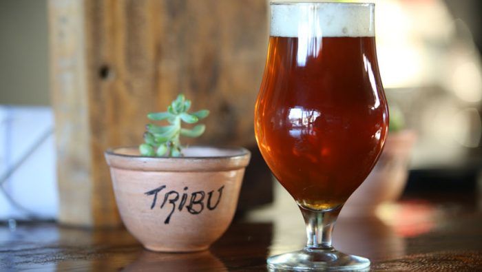 Reinventan una receta milenaria de cerveza en el Valle de Uco