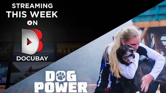 Docubay, el Netflix de los documentales desembarcó en el país