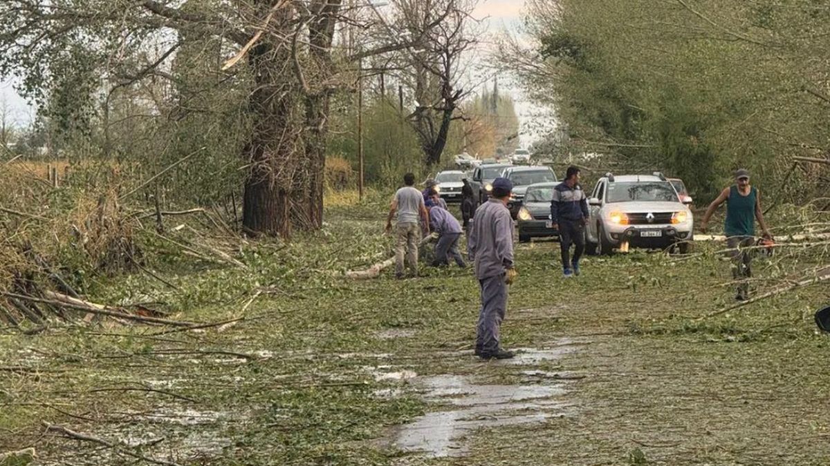 La fuerte tormenta con lluvia y granizo causó más de 140 incidentes y ...