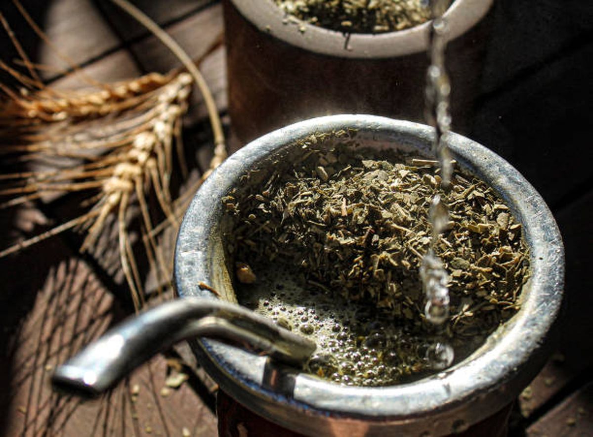 Reciclaje: guardá la yerba usada y transformala en un práctico y ...