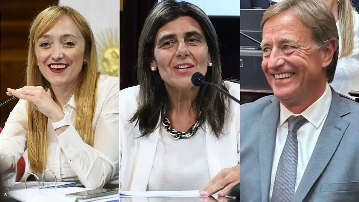Emergencia en Discapacidad: los tres senadores mendocinos votaron en ...