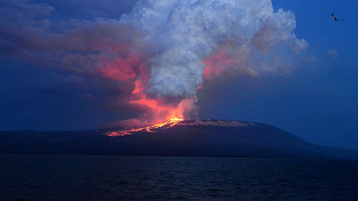Hizo erupción el volcán Wolf en las islas Galápagos después de 33 años