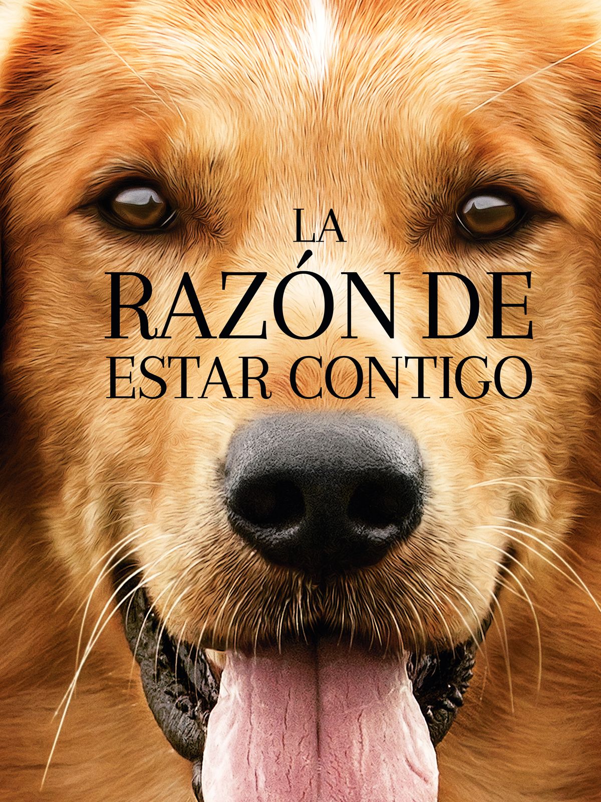HBO Max tiene la emocionante película sobre los perros que te hará llorar