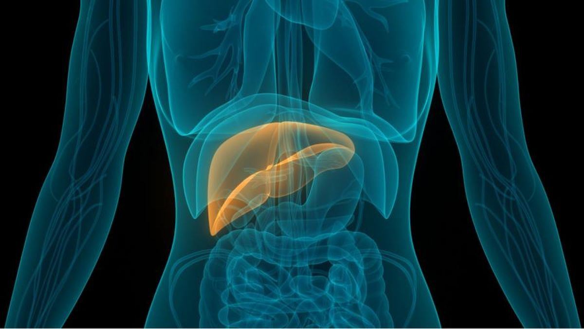 ¿Dónde duele cuando hay cáncer de hígado? El síntoma clave para ...