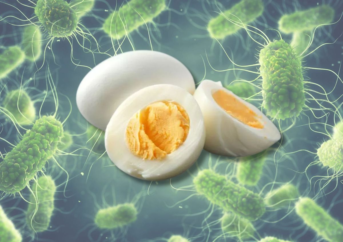 ¿Cuál es el tiempo exacto que debes hervir los huevos para matar la ...