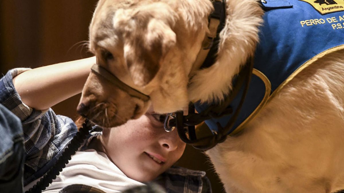 Cinco niños con autismo recibieron sus perros entrenados para asistirlos