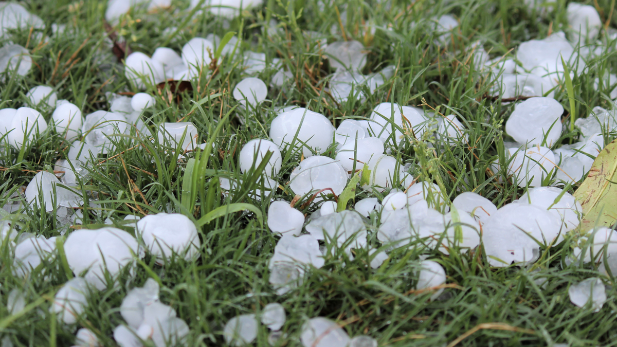 Temporada de verano: te enseño cómo leer el radar meteorológico y ...