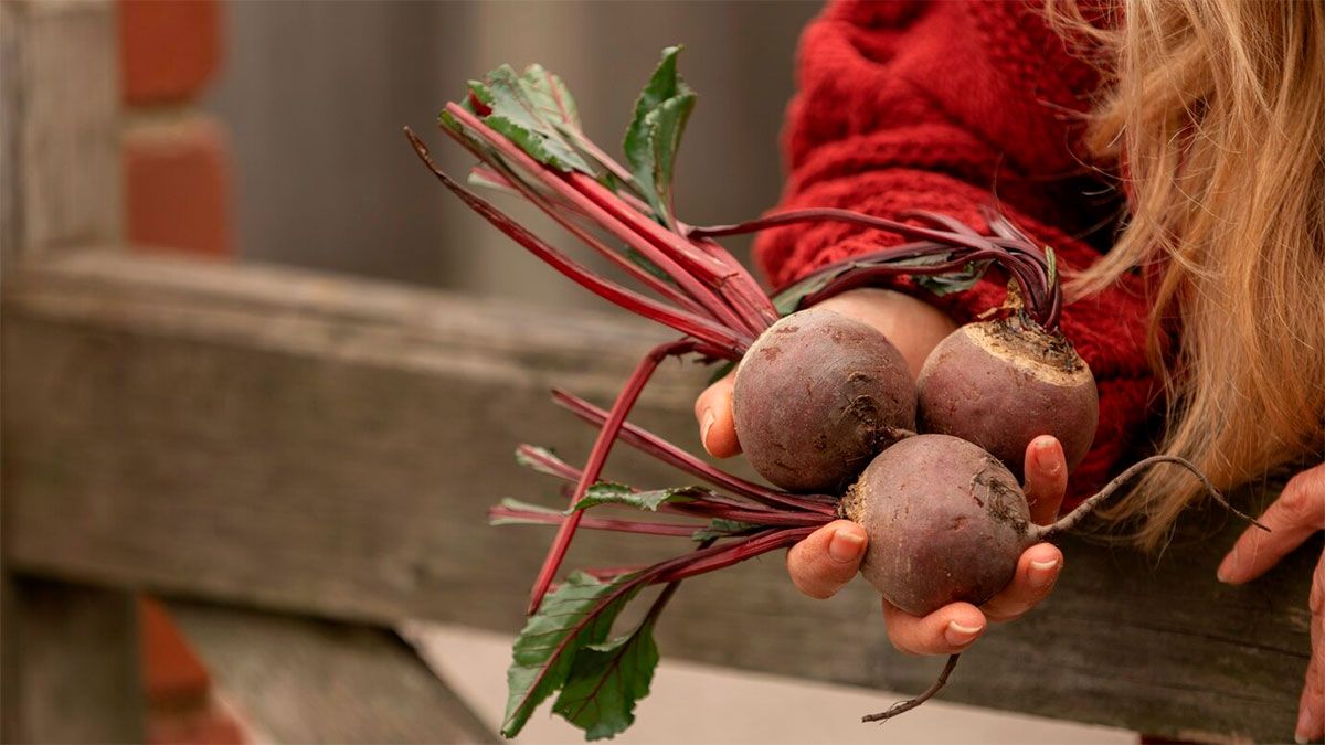 Los beneficios de comer remolacha: reduce la presión arterial y ...