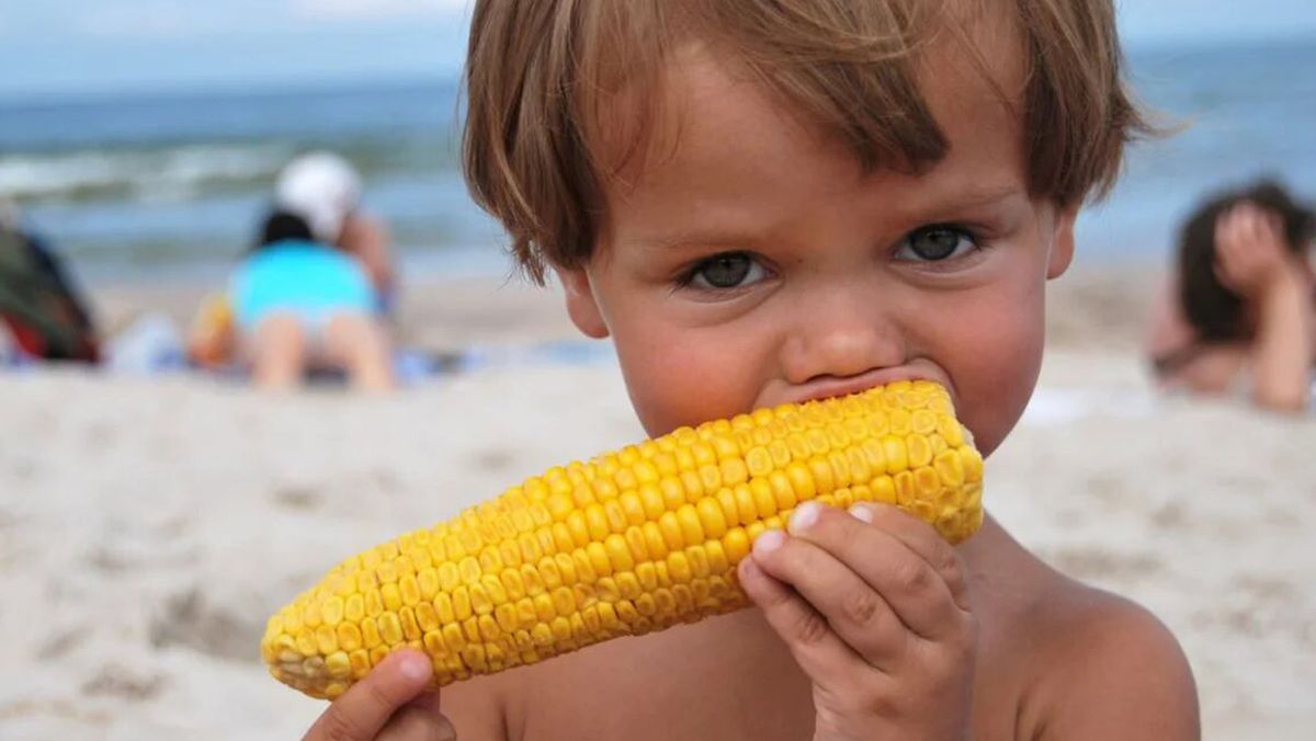 Beneficios de comer choclo en verano