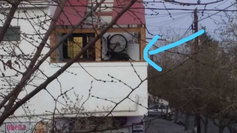 Imágenes impactantes de un perro colgado de un balcón en Guaymallén