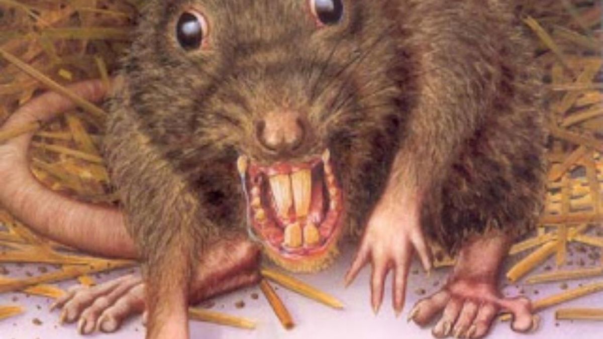 Una rata gigante apareció en una carnicería y los comentarios fueron furor