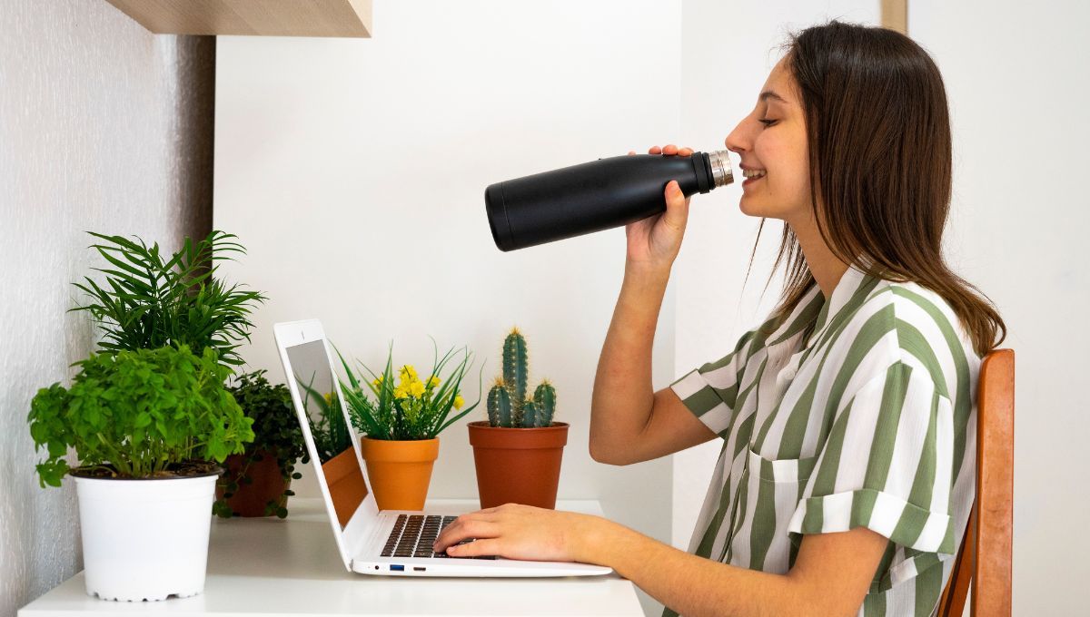 Cómo quitar el olor a humedad en un termo o botella reutilizable