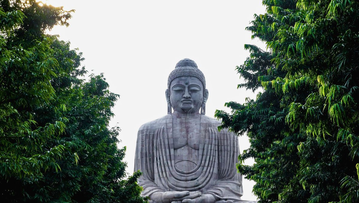 Filosofía china: el proverbio de Confucio que compara el éxito con un ...