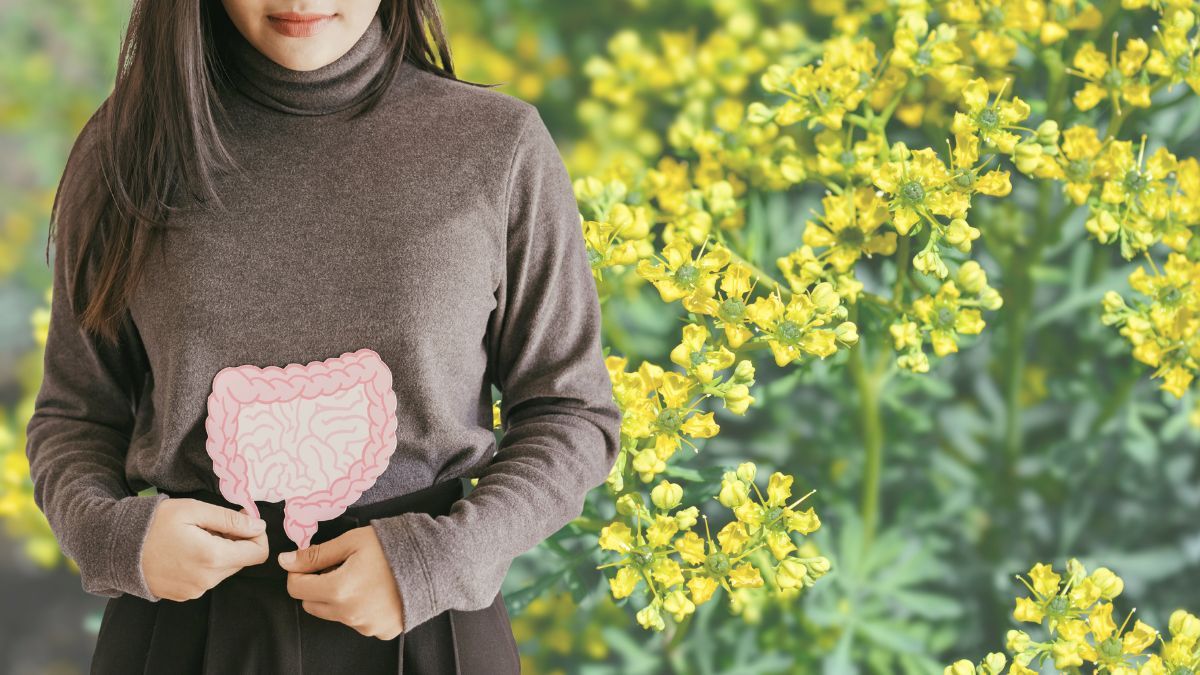 ¿Cómo usar la ruda para proteger el sistema digestivo?