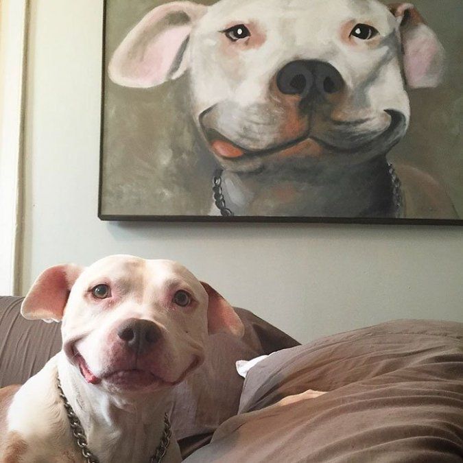 Este perro vagabundo no deja de sonreír tras ser rescatado