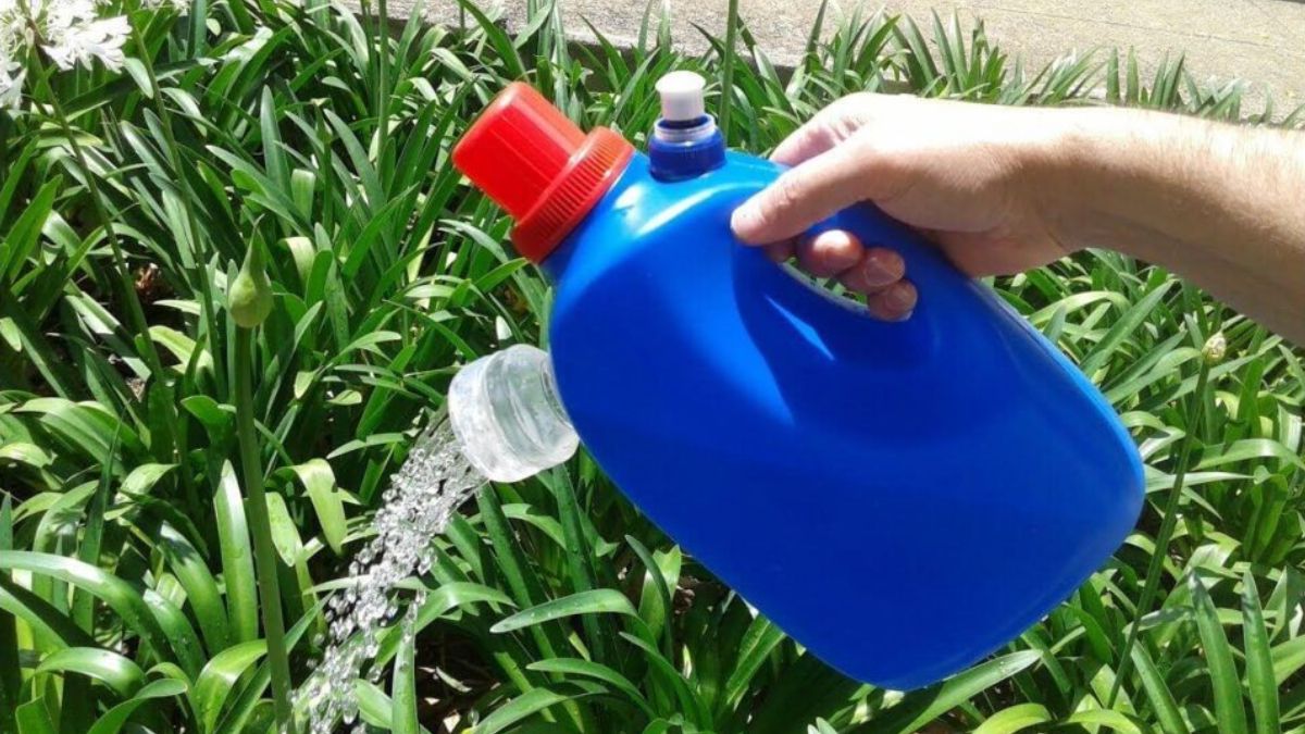 Reciclar botellas de plástico para hacer una ingeniosa regadera para ...