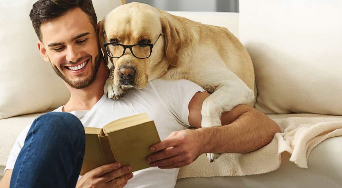 ¿Cómo afrontar la pérdida de las mascotas?