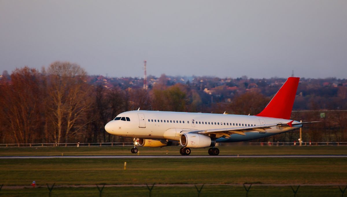 No es casualidad: por qué un avión es blanco y no de otro color