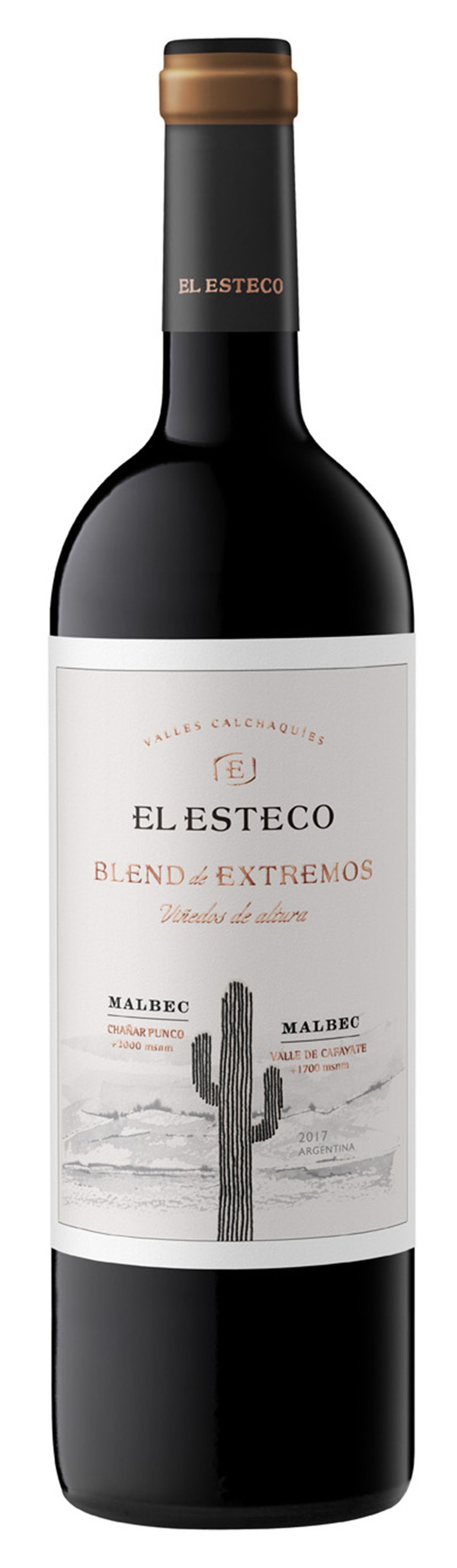 Seguimos festejando junto al Malbec