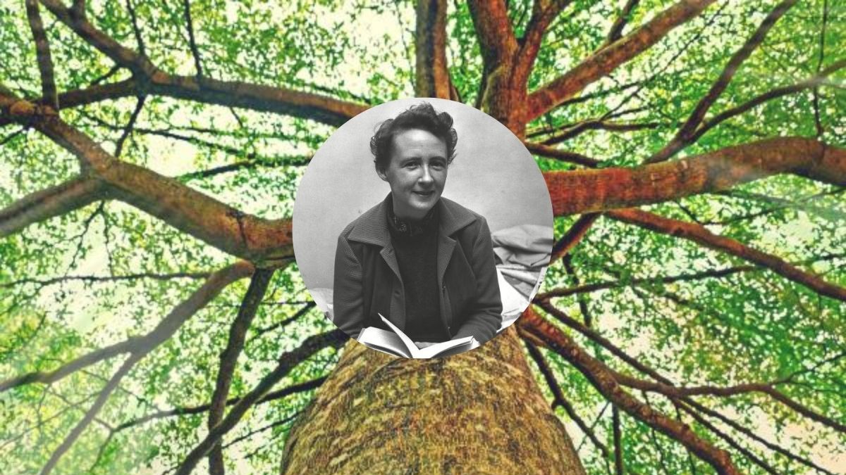 Como 2.000 no fueron suficiente, plantó 130.000 árboles: desafió al desierto y lo convirtió en ...