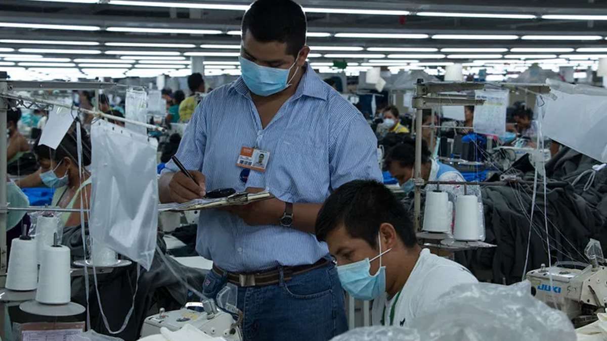 Trabajo Autogestionado: quién cobra el bono de $11.000