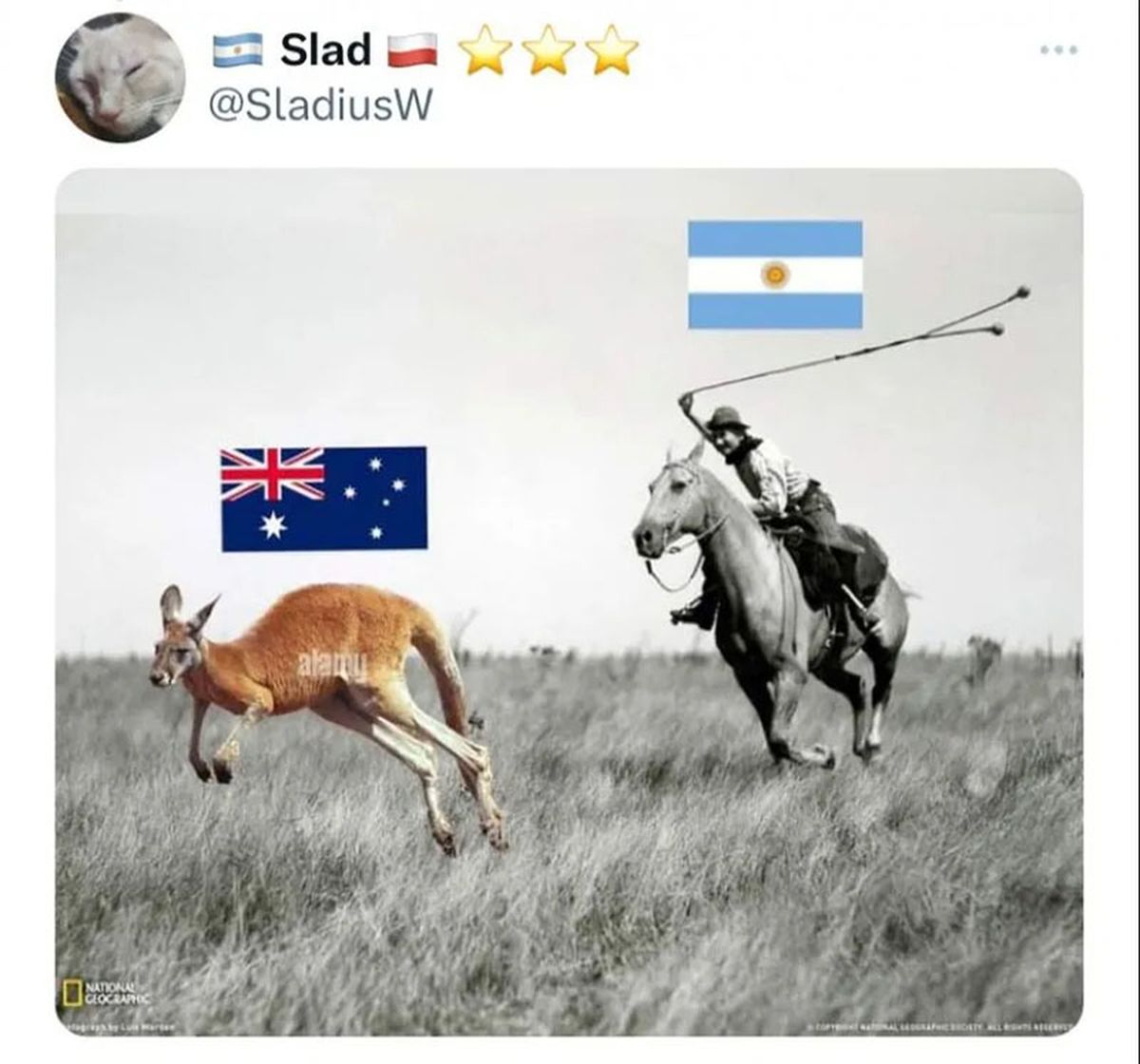 Selección argentina vs. Australia: los imperdibles memes