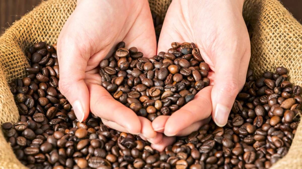 Cómo y cuándo se hace el ritual con café para atraer amor y dinero