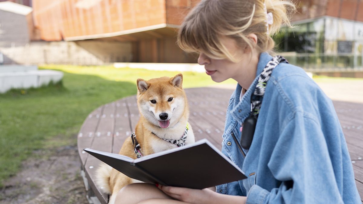 El test de los tres animales que revelará tu verdadera personalidad