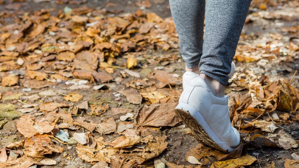 Qué significa pisar caca de perro en la calle, según la metafísica