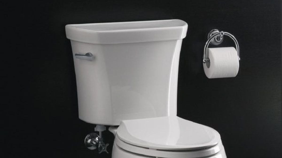 Hoy es el día mundial del inodoro