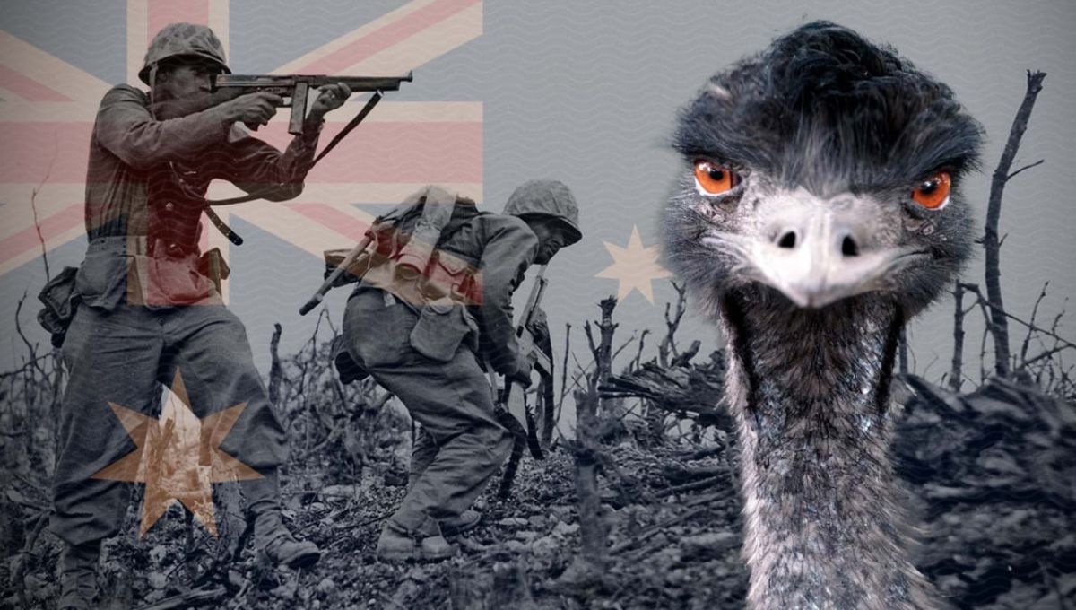 Guerra Emú, el día que un país fue vencido por 20.000 aves: un fracaso ...