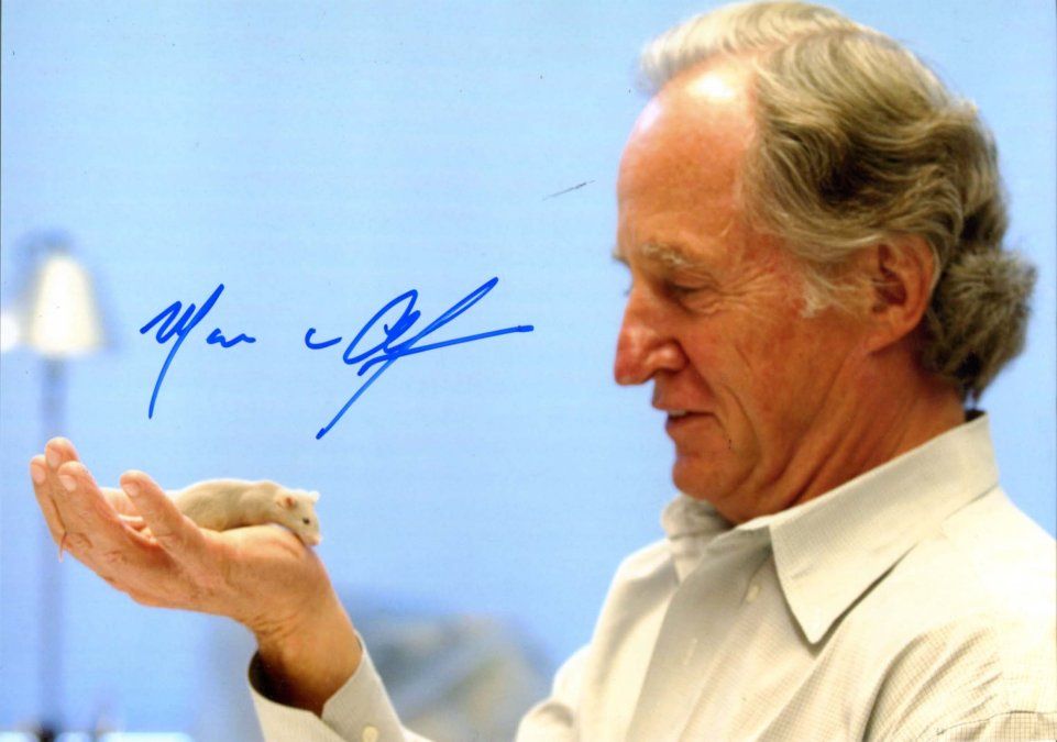 Mario Capecchi: de mendigo a médico – premio nobel