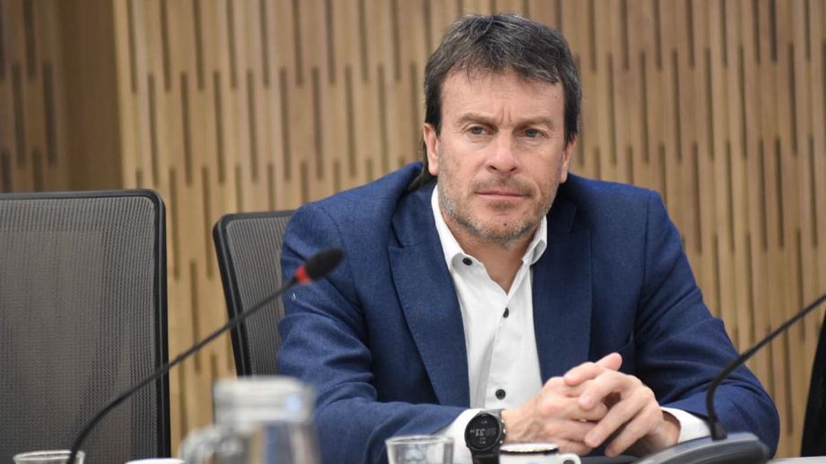 Con Lisandro Nieri a la cabeza la UCR le reclamó a Javier Milei que se ...