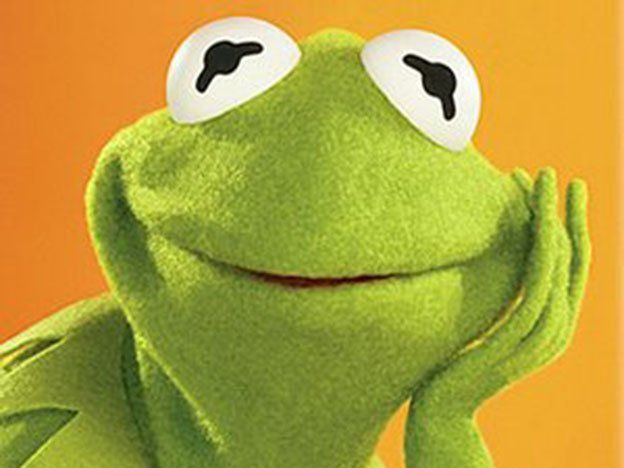 Científicos descubren en Costa Rica a la verdadera rana René