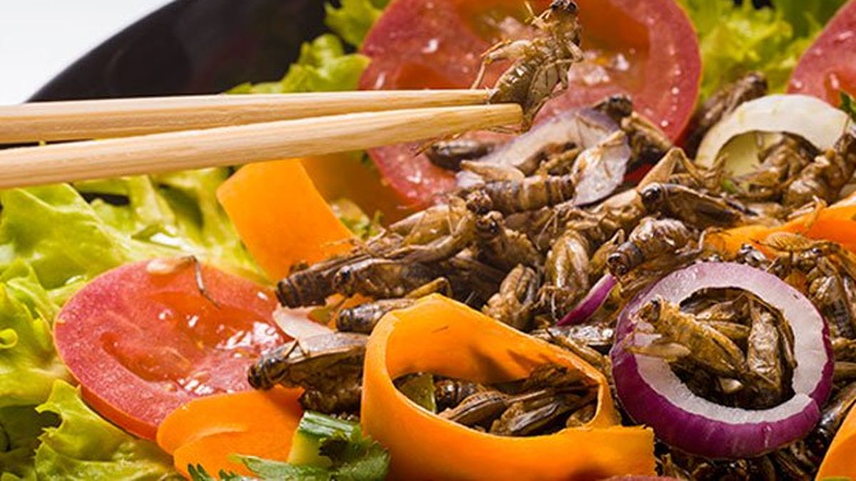 Insectos y carne de laboratorio: el nuevo menú europeo