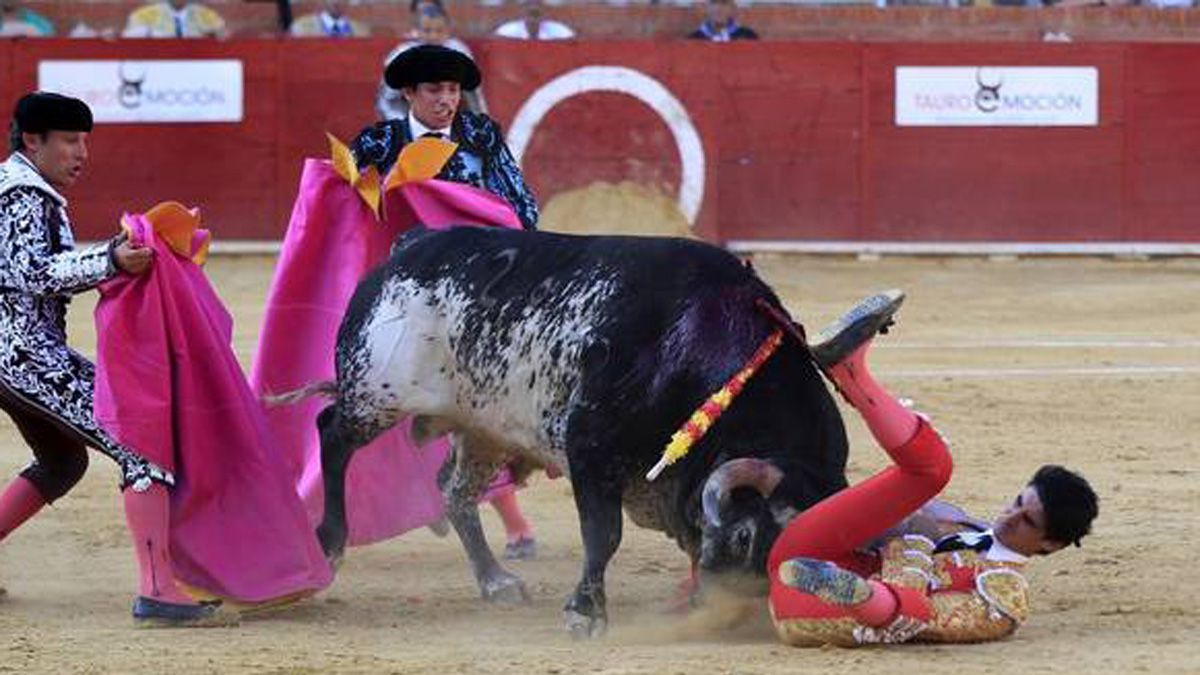 Impactante: un toro corneó y mató a un torero en un festival en España
