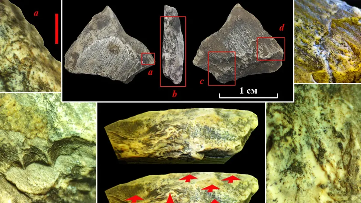Arqueólogos realizan el descubrimiento más antiguo de marfil y creen ...
