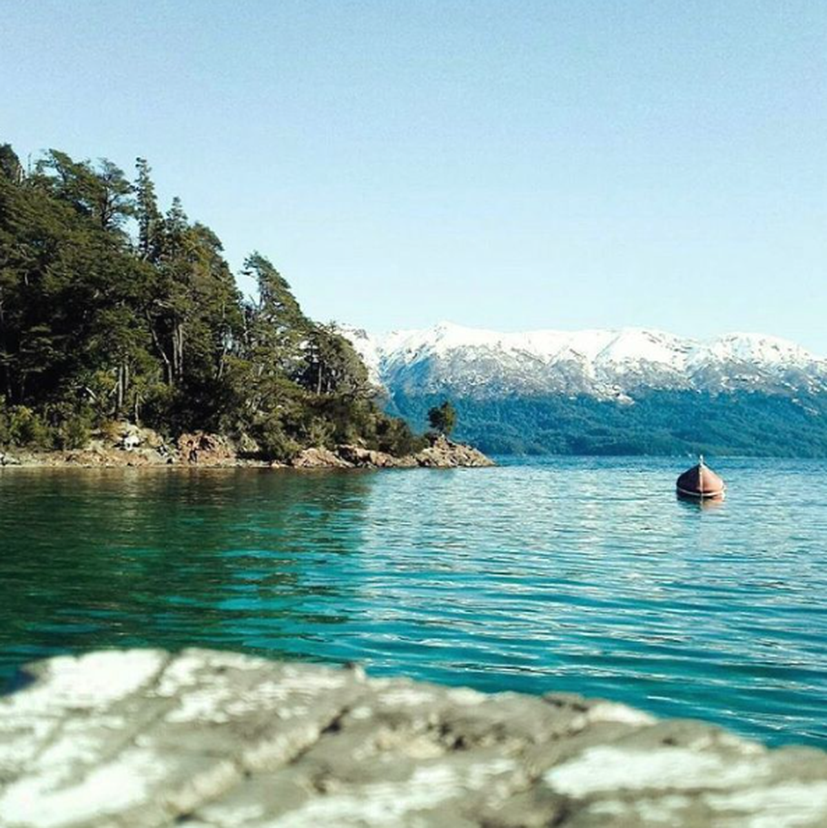 El bosque sumergido en un lago que se puede visitar en medio de la ...