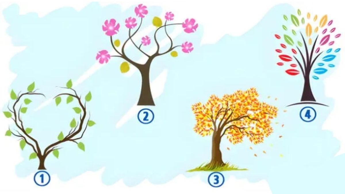 Test de personalidad: elegí un árbol y descubrí en qué etapa de tu vida ...