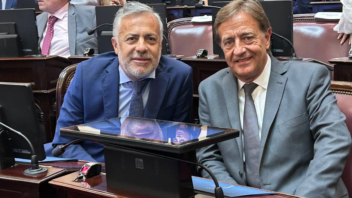 Rodolfo Suarez impulsa la eliminación de las PASO desde su nuevo rol de ...