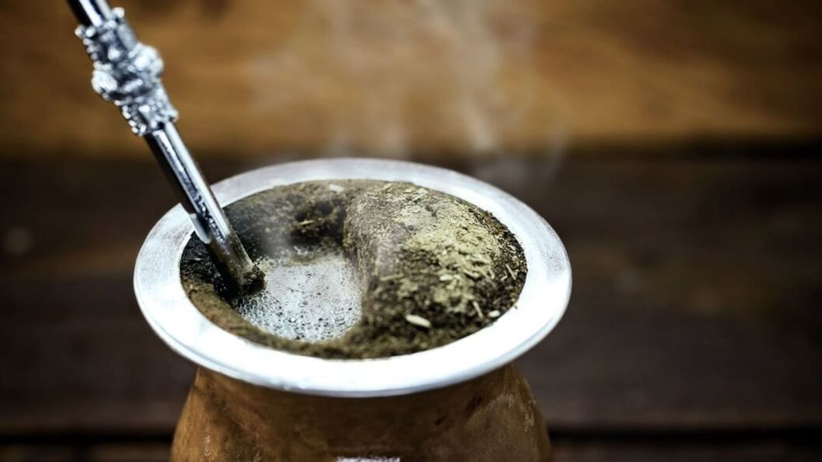 Mate rico y saludable: la deliciosa hierba que controla el azúcar en ...