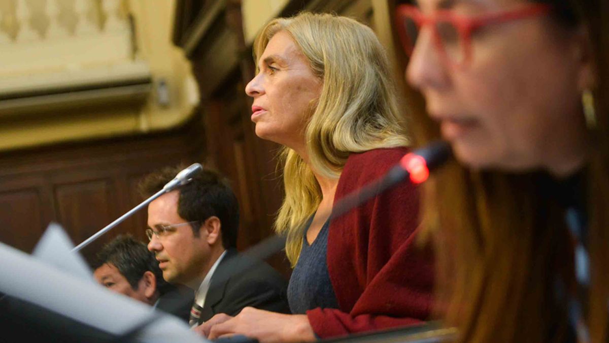 En la Legislatura contrataron a una hija de la ex vicegobernadora Laura ...