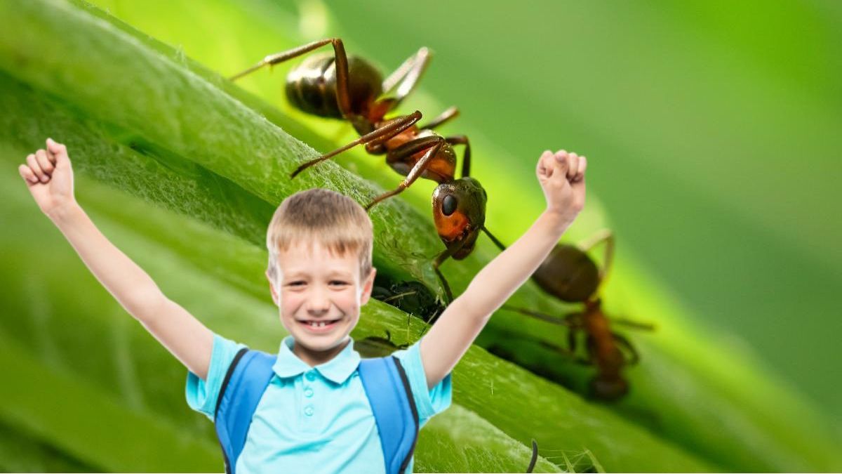 Descubrimiento realizado por un niño de 8 años desafía a la ciencia ...