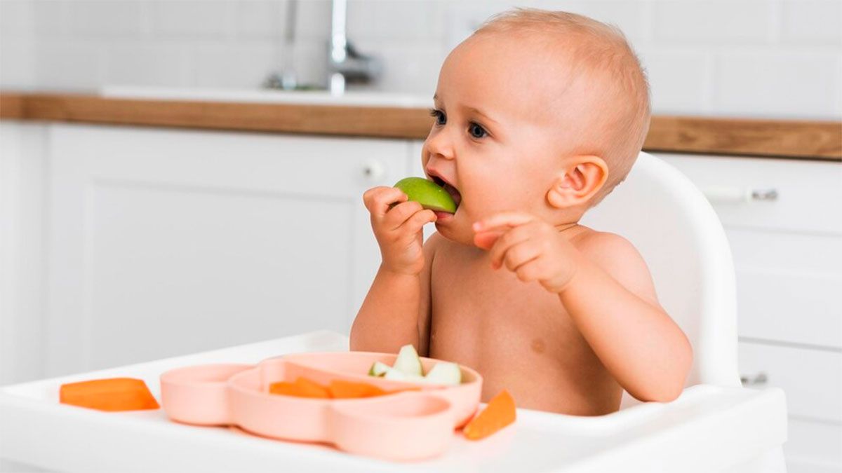 Alimentación complementaria: las comidas que se les pueden ofrecer a ...