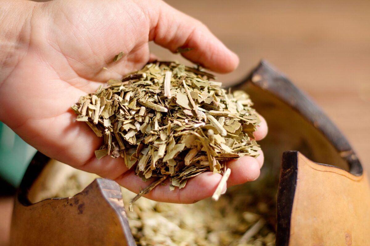 Mate rico y saludable: consejos para elegir la mejor yerba mate
