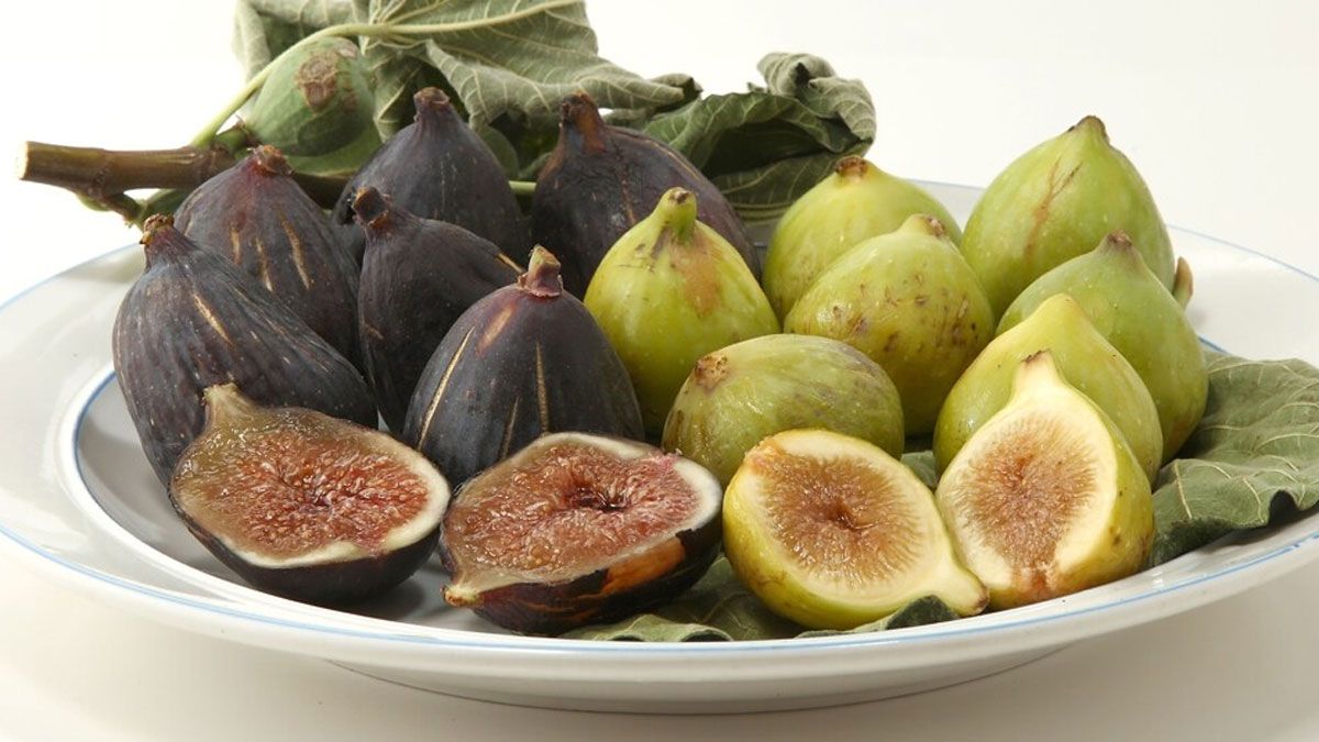 Cuáles son las diferencias que hay entre un higo y una breva