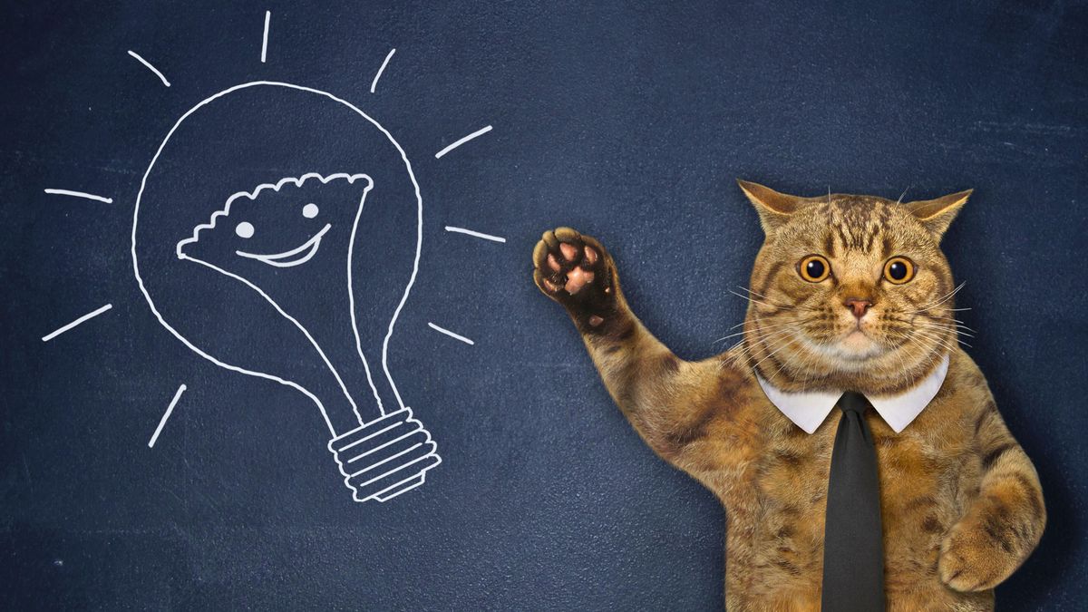 La palabra del día es Apapacho: ¿qué significa?