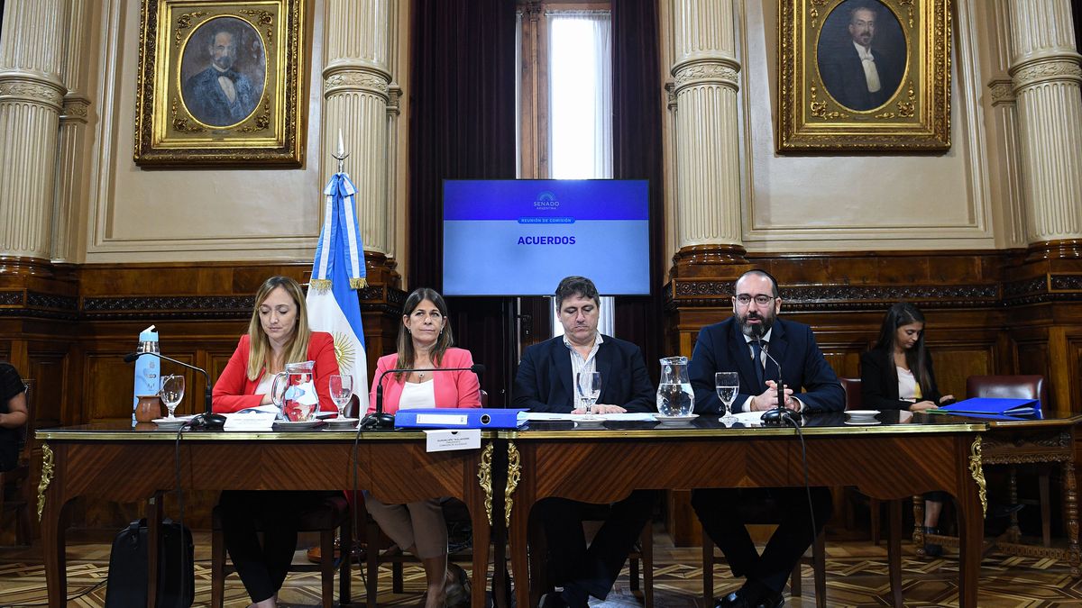 Fernández Sagasti y Lousteau cuestionaron al rabino que Milei propuso ...